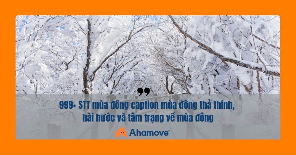 1001+ STT mùa đông hay nhất, cap mùa đông thả thính, hài hước, sâu sắc ...